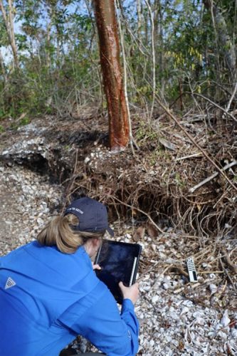 Calusa Cultural Heritage Preservation in Southwest Florida – South ...