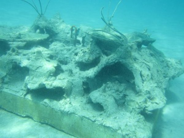 Habitats + Micro-Habitats – South Florida Aquatic Environments