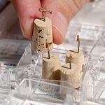 Ornithology Collection – Florida Museum of Natural History