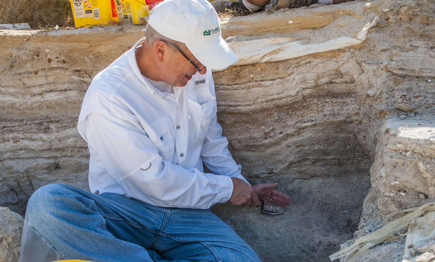 Museum Faculty in Paleontology and Paleobiology – Invertebrate Paleontology