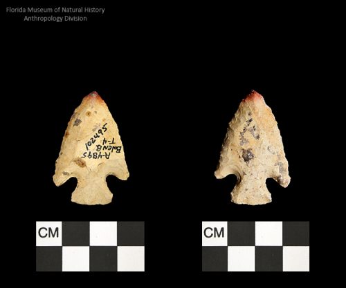 Bullen Point Types Gallery – Florida Archaeology & Bioarchaeology