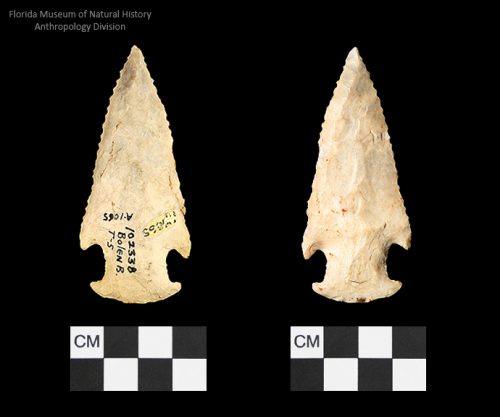 Bullen Point Types Gallery – Florida Archaeology & Bioarchaeology