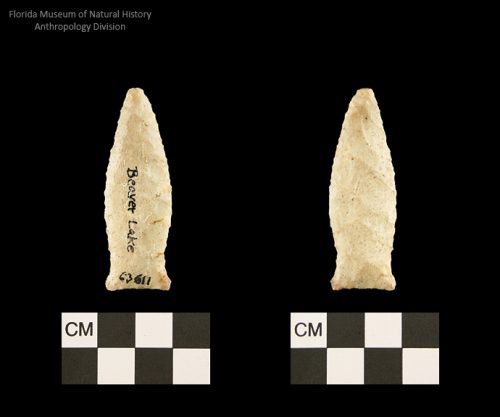 Bullen Point Types Gallery – Florida Archaeology & Bioarchaeology