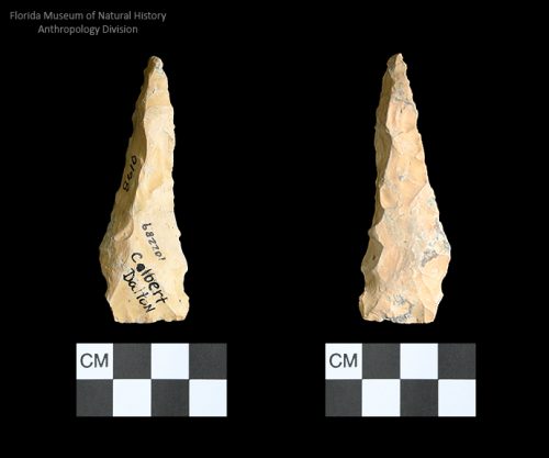 Bullen_PP_Cbt_150_102289 – Florida Archaeology & Bioarchaeology