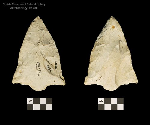 Bullen_PP_FMM_222_102269 – Florida Archaeology & Bioarchaeology