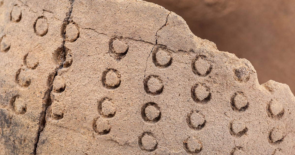Tatham Mound (8CI203) – Florida Archaeology & Bioarchaeology