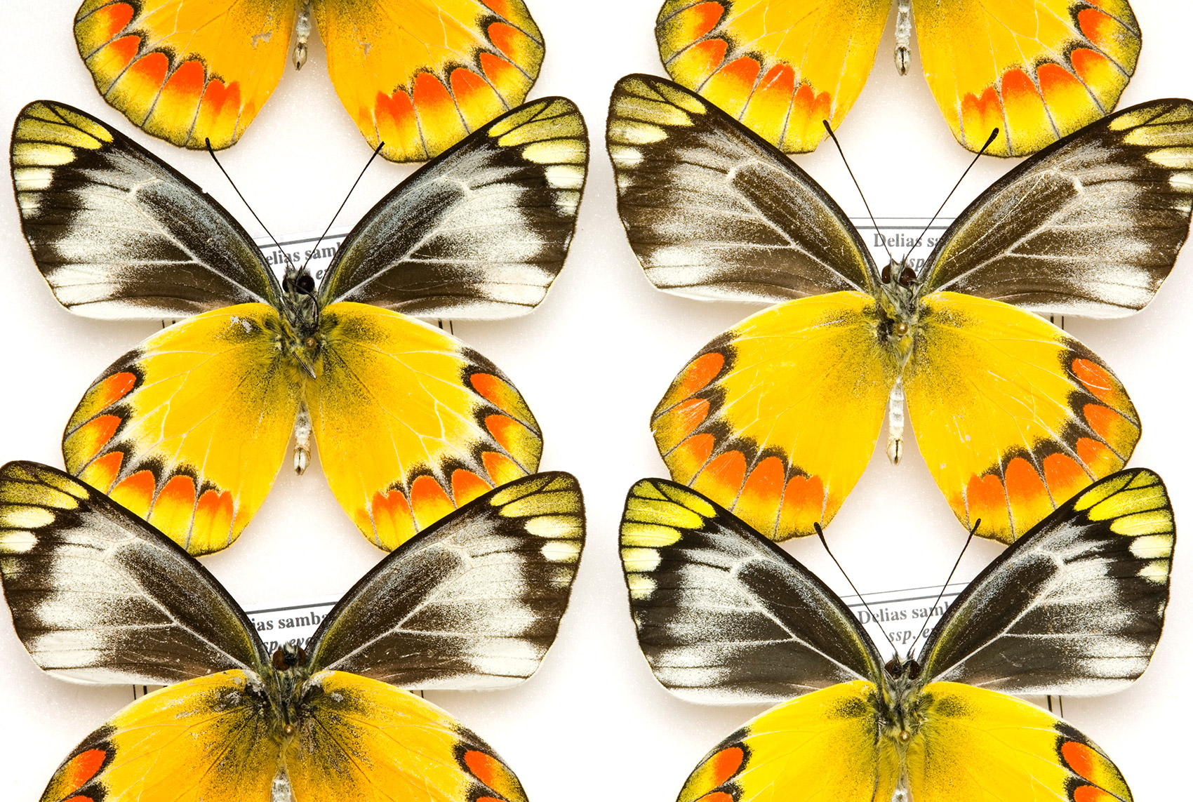 Loan Requests – McGuire Center