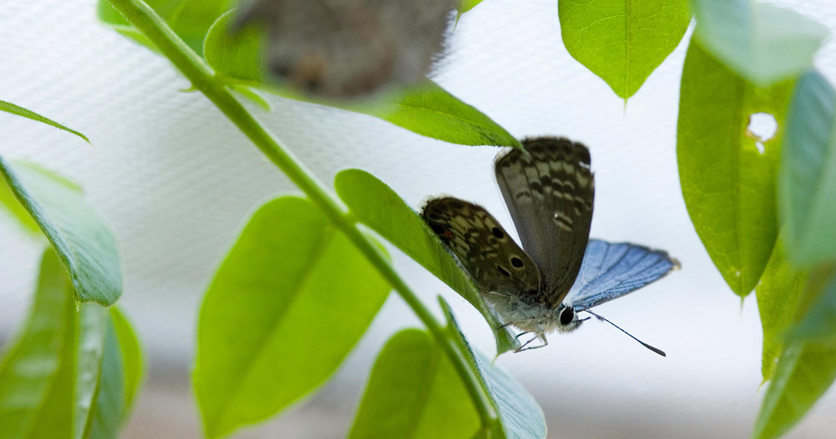Martha Weiss and Jo Nagai – McGuire Center