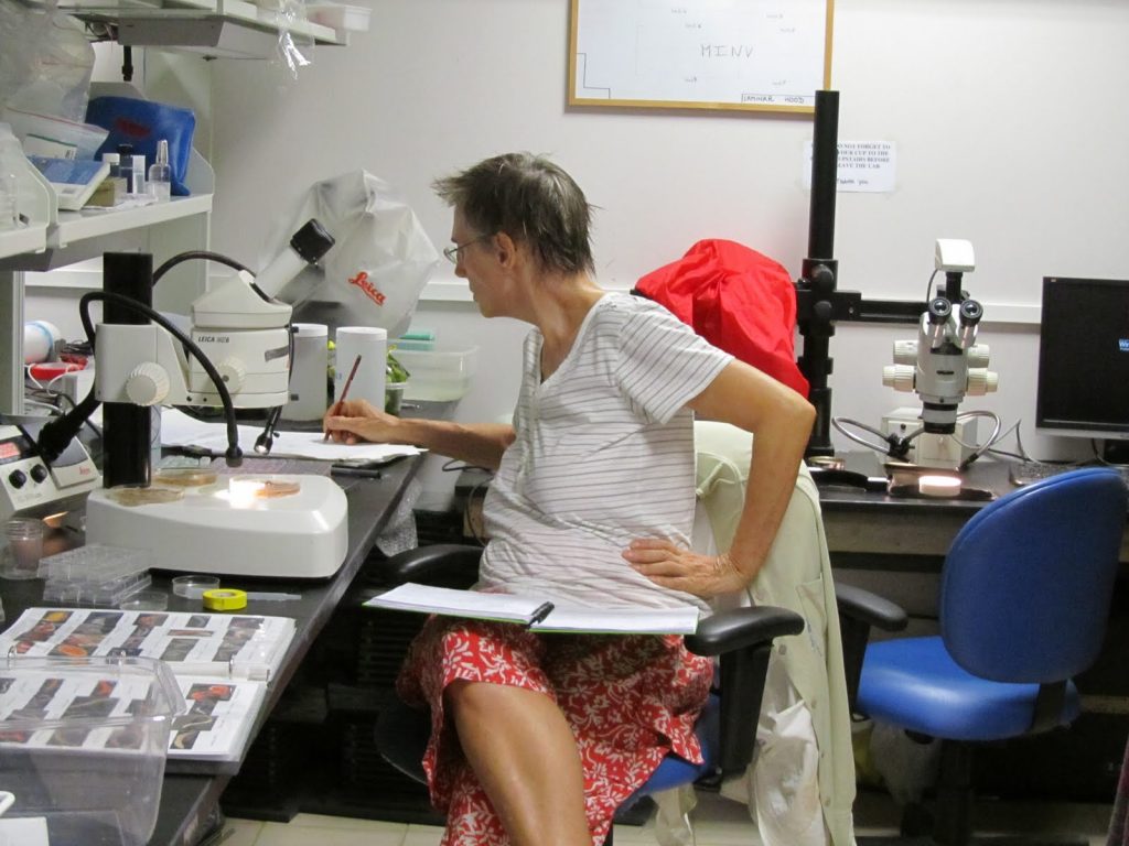 Lab Work – Invertebrate Zoology