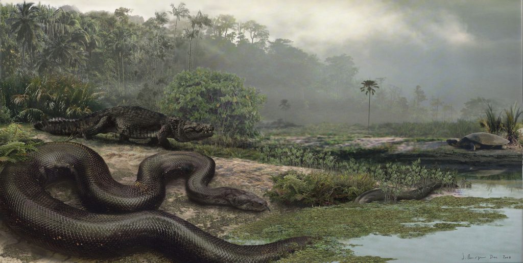 Museum still accepting RSVPs for Monday’s ‘Science Café’ on ‘Titanoboa ...
