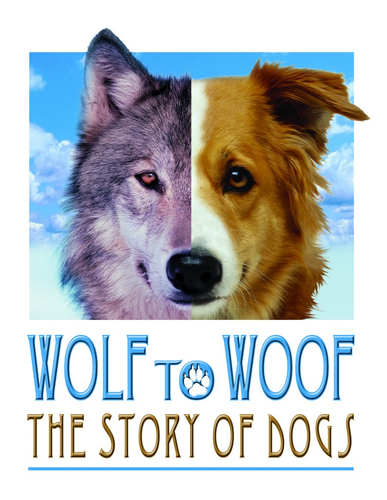 Popular ‘Wolf to Woof’ exhibit extended to Sept. 7 – Pressroom