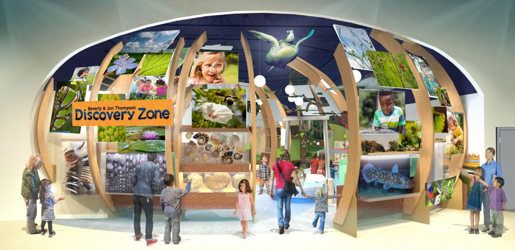 New ‘Discovery Zone’ exhibit for young children to open July 17 – Pressroom
