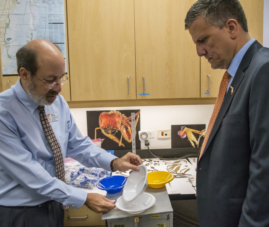 Duke Energy Foundation renews grant to fund pollinator research – Pressroom