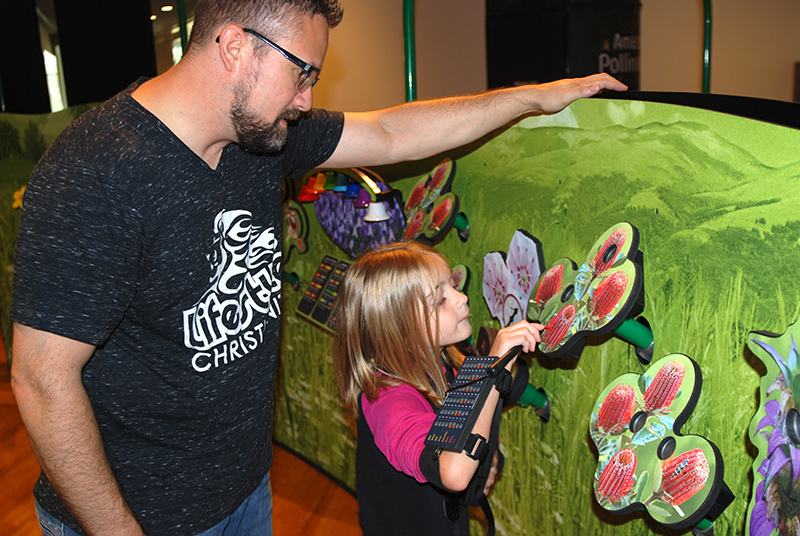 Amazing Pollinators – Pressroom