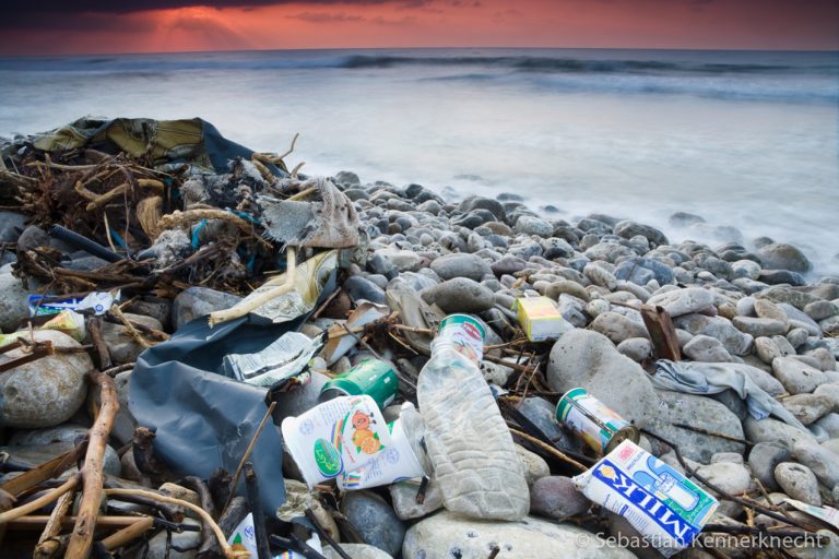 Florida Museum dives into oceans to investigate plastic pollution with ...