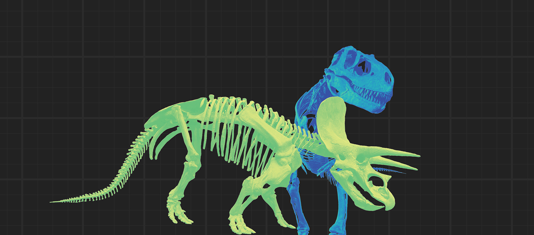 Science Up Close: Fantastic Fossils – Pressroom