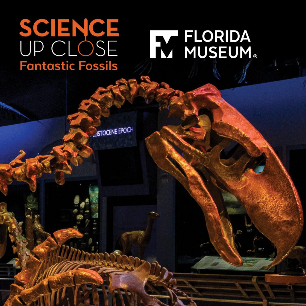 Science Up Close: Fantastic Fossils – Pressroom