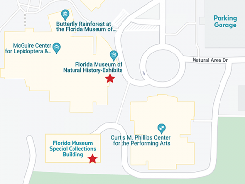 Florida Museum hosts ribbon-cutting ceremony for new collections ...