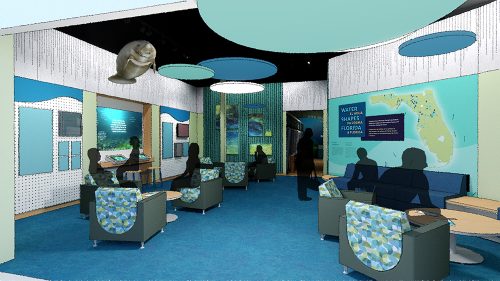 Florida Museum’s new permanent exhibit about water set to open in 2024 ...