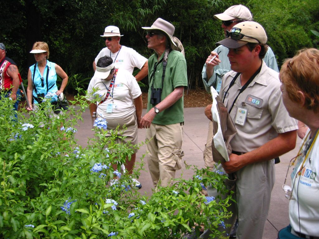 Volunteers contribute to Florida Butterfly Network’s conservation plan ...