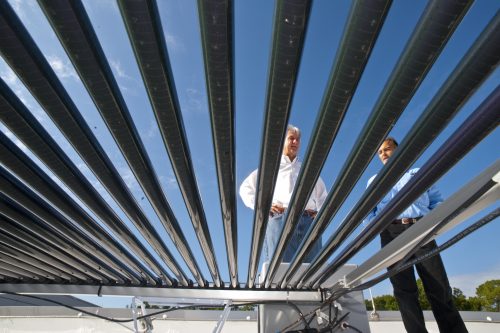 The Florida Museum is Green! – Florida Museum Blog