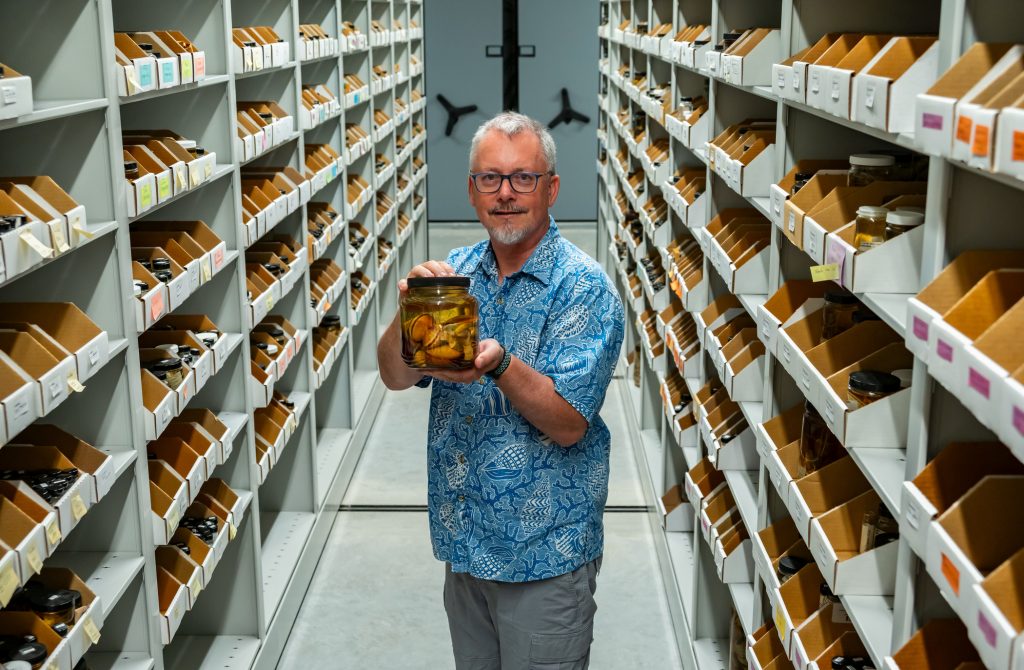 Changing Seas and digitizing shell collections – Florida Museum Blog