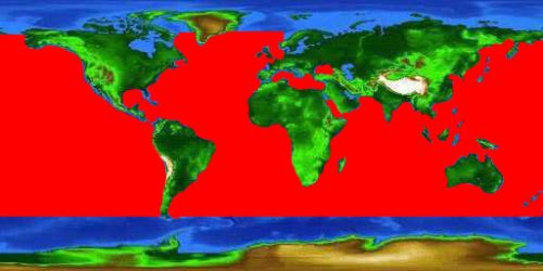 Swordfish – Discover Fishes