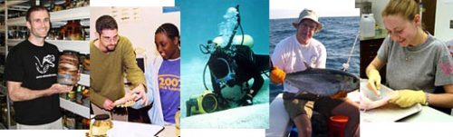 Careers in Ichthyology – Discover Fishes