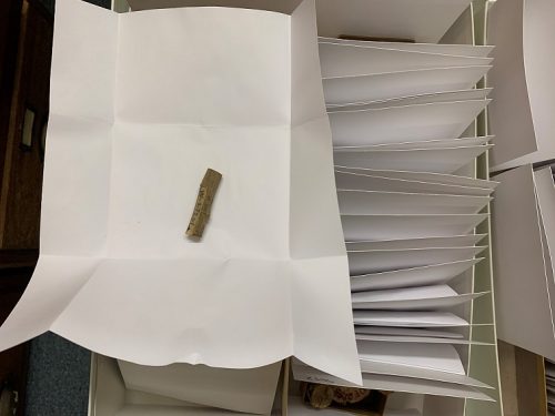 Wood Collection – University of Florida Herbarium (FLAS)