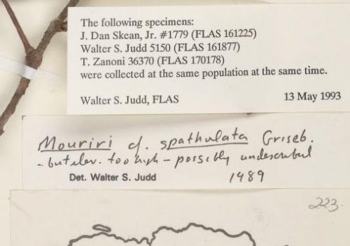 Annotation of Herbarium Specimens: Recommendations – University of ...