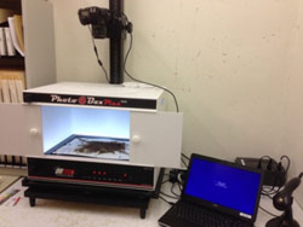Imaging System (Nikon/Photo e-Box) – University of Florida Herbarium (FLAS)