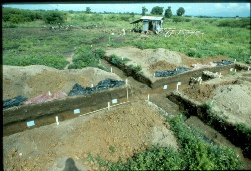 Puerto Real – Historical Archaeology