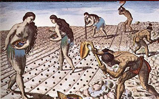 The Timucua in St. Augustine – St. Augustine: America's Ancient City