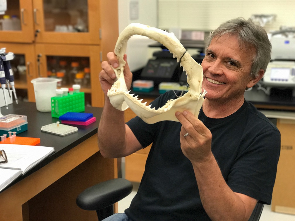 Meet the Researchers: Gavin Naylor – Florida Program for Shark Research