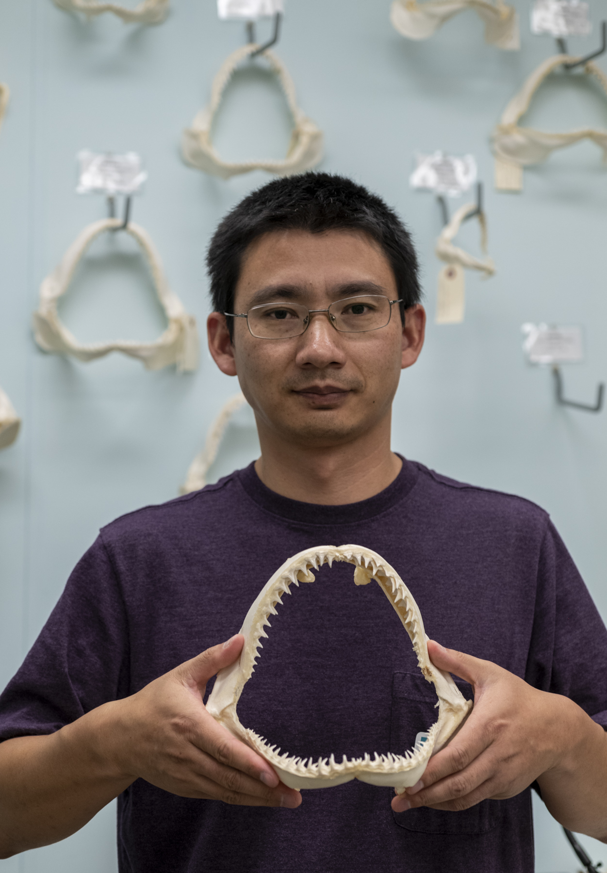 Meet the Researchers: Lei Yang – Florida Program for Shark Research