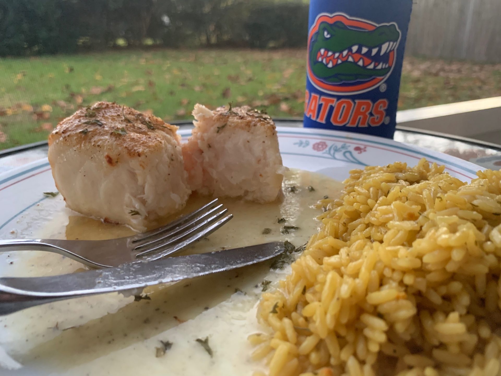 Should we be eating sharks? – Florida Program for Shark Research