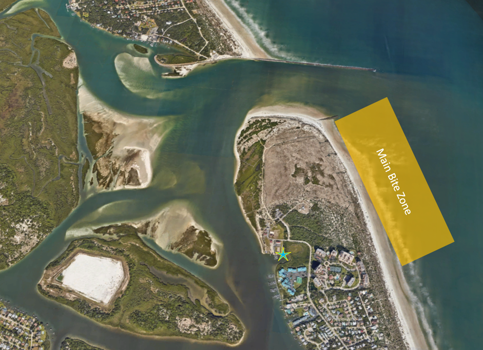 New Smyrna Fieldwork: Part 1 – Florida Program for Shark Research