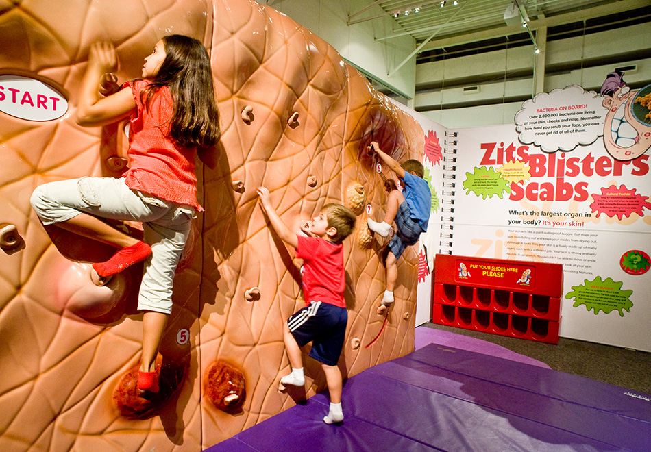 Grossology: The (Impolite) Science of the Human Body – Exhibits