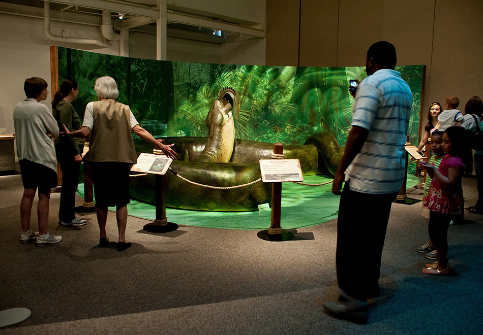 Titanoboa: Monster Snake – Exhibits