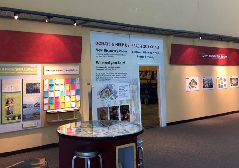 Discovery Zone, Quiet Beginnings – Exhibits