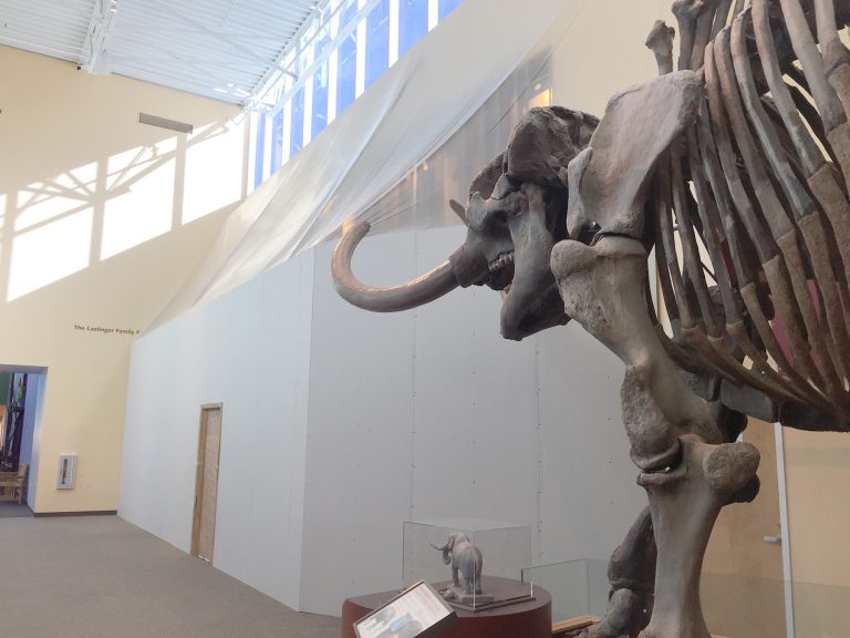 Discovery Zone – Exhibits