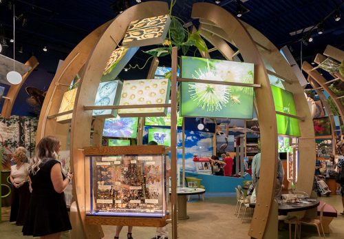 Opening the Discovery Zone – Exhibits