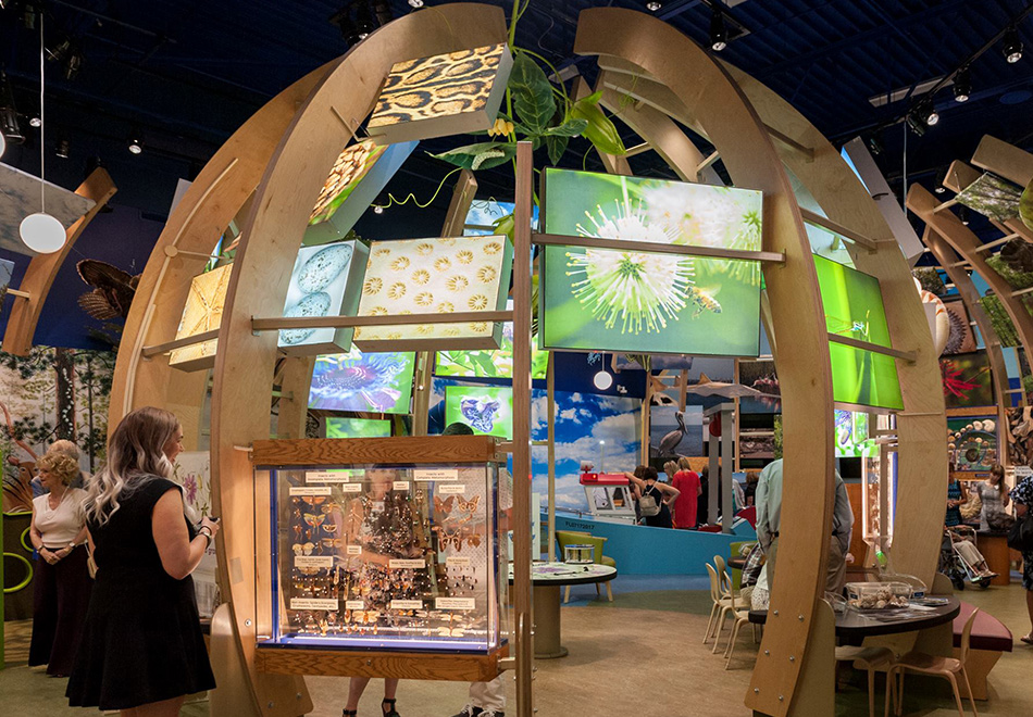 Opening the Discovery Zone – Exhibits