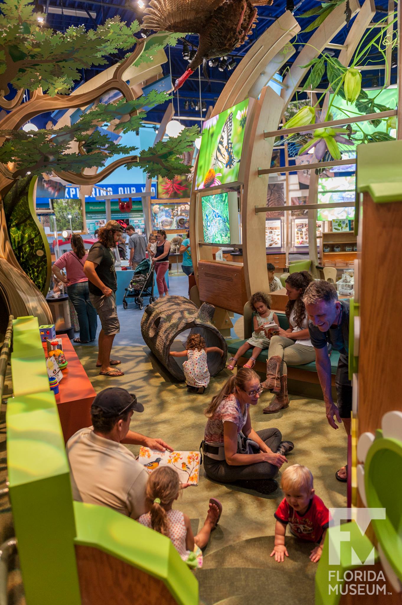 Opening the Discovery Zone – Exhibits