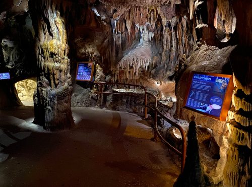 It’s time to lighten up! – Exhibits