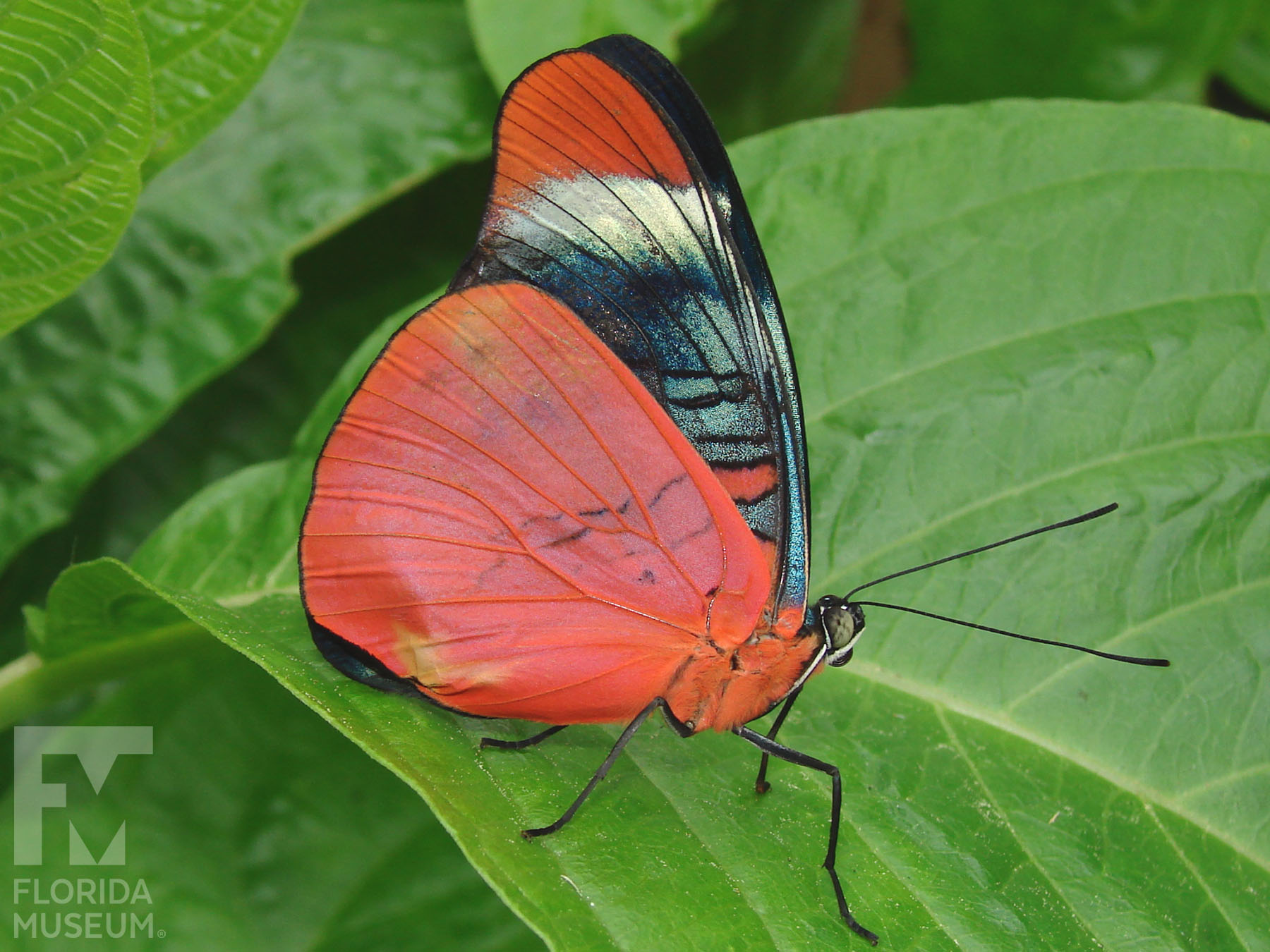 Prola Beauty – Exhibits