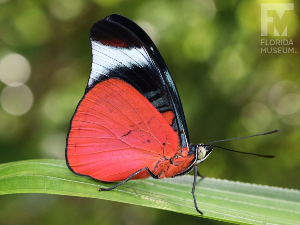 Prola Beauty – Exhibits