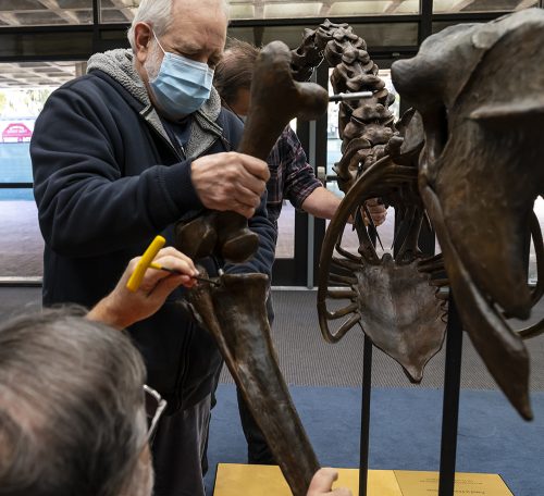 Digging through Collections and Putting Together Skeletons – Exhibits