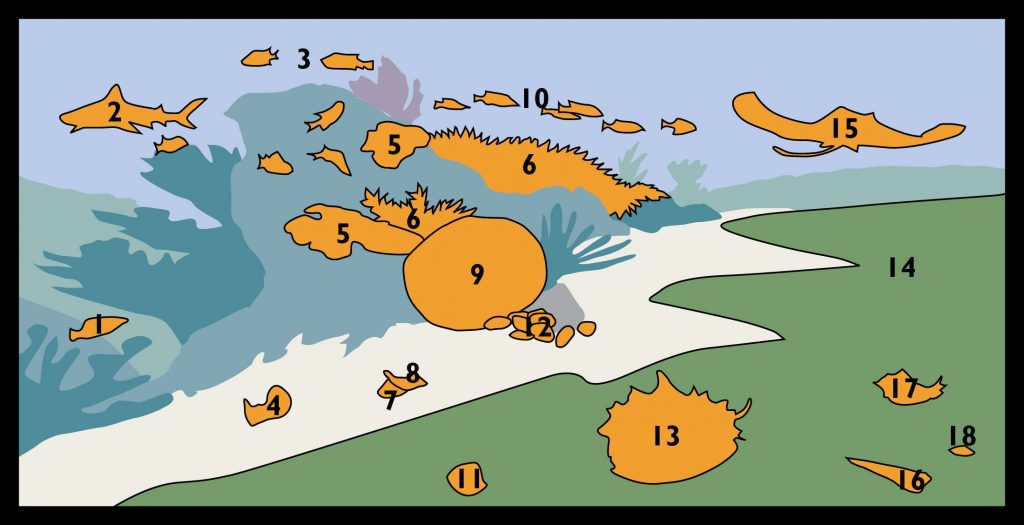 Florida Miocene painting by Robert Barber – Exhibits