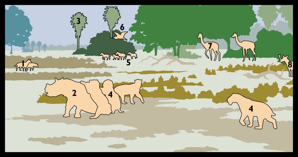 Florida Miocene painting by Mauricio Antón – Exhibits